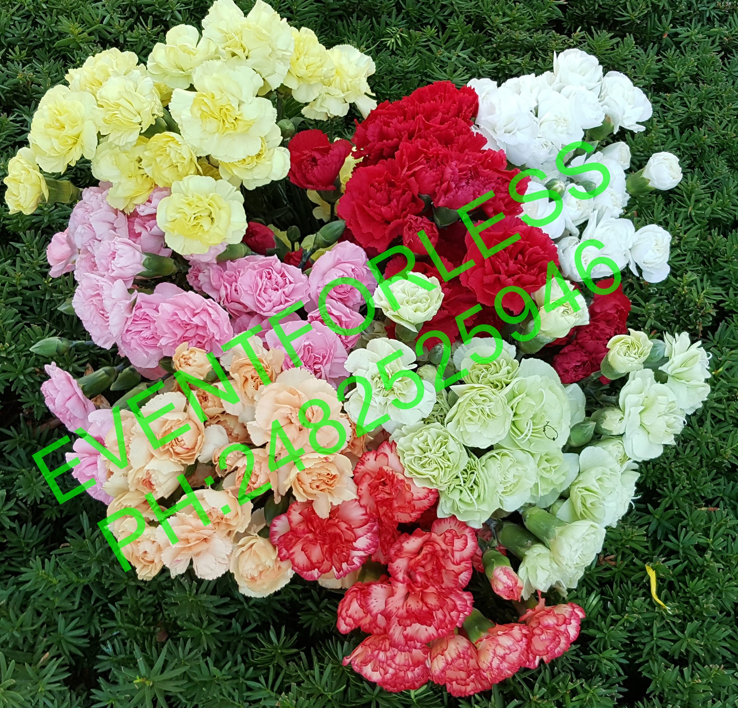 Fresh Flowers | Event For Less