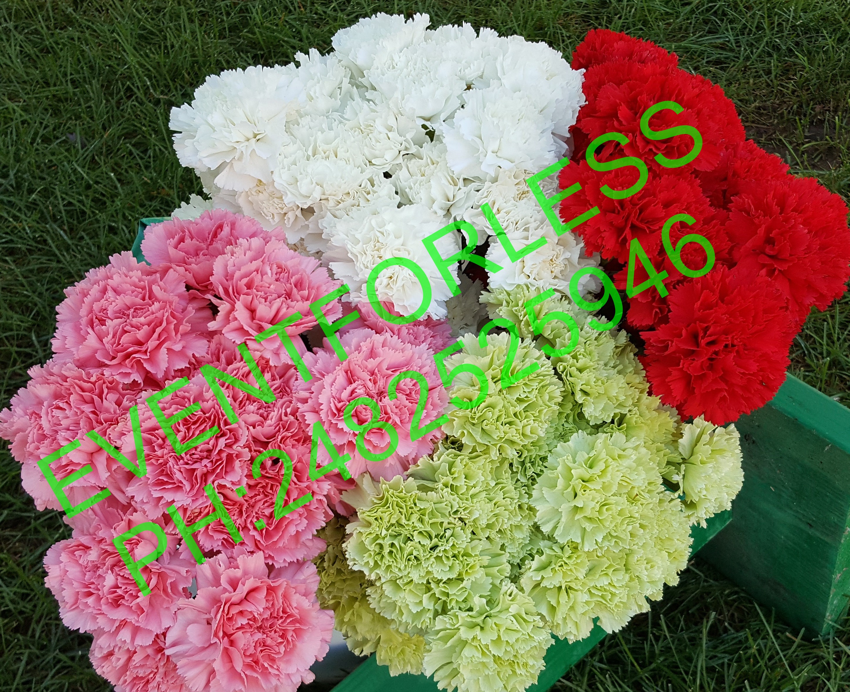 Fresh Flowers | Event For Less