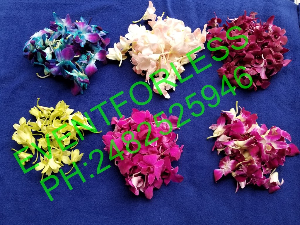 Fresh Flowers | Event For Less